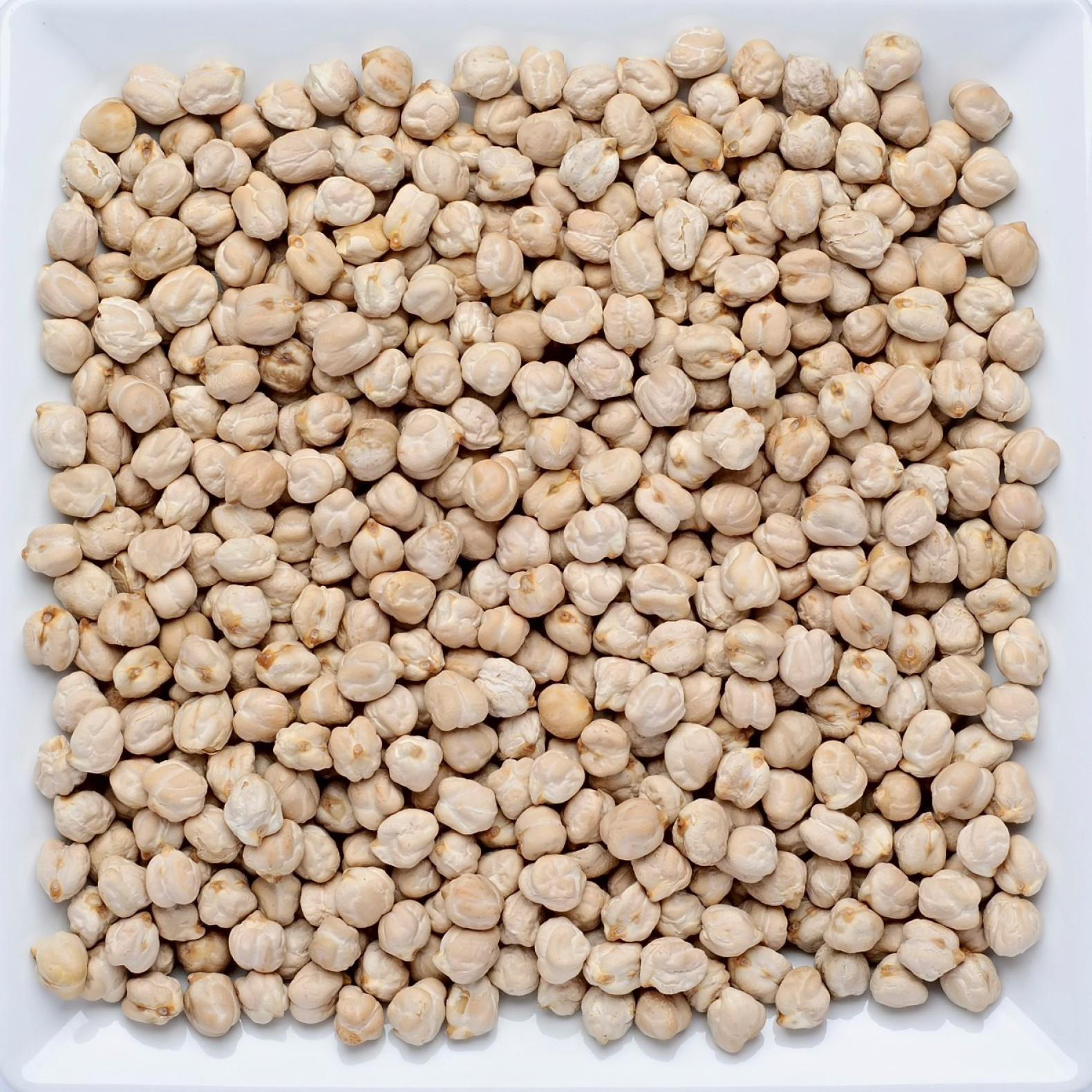 Grão de Bico Seco 100g - Banca do Ramon