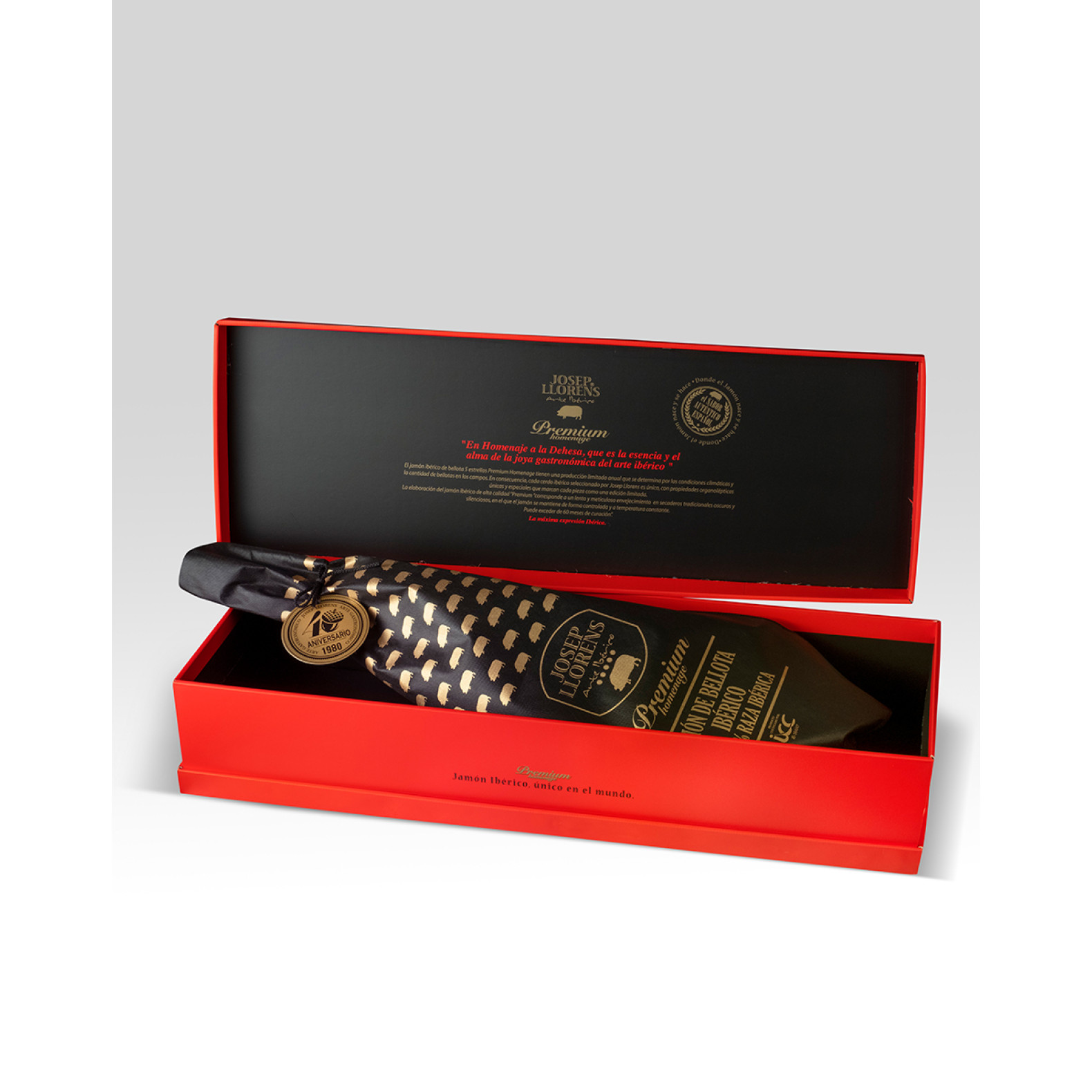 Presunto Jamon Pata Negra Bellota Josep Llorens com osso (peça) - Banca ...