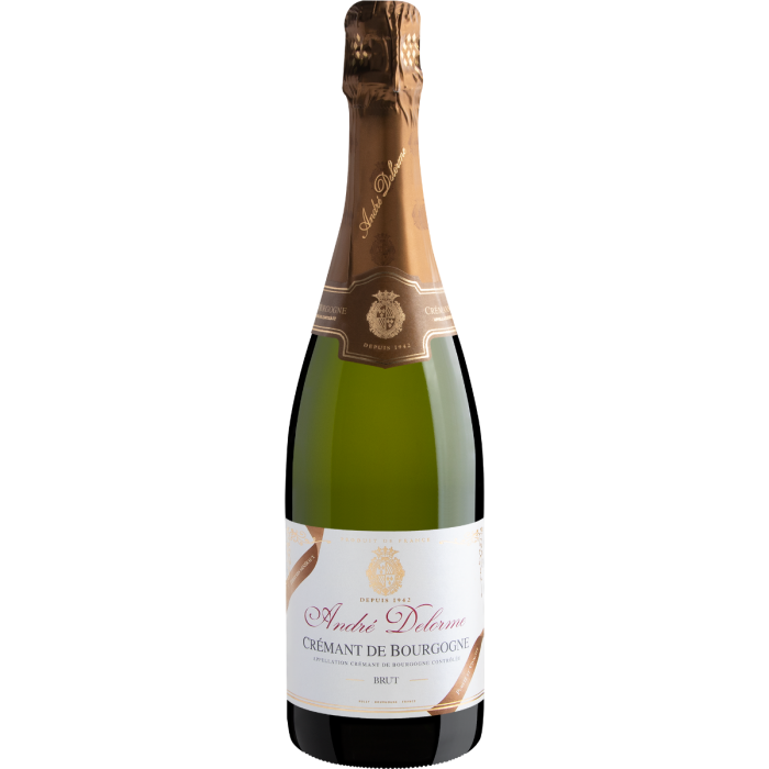 Espumante Andre Delorme Brut 750ml - Banca do Ramon