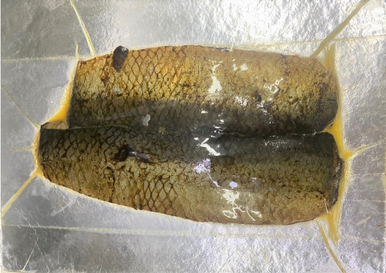 Filé de Arenque Defumado 120g - Banca do Ramon