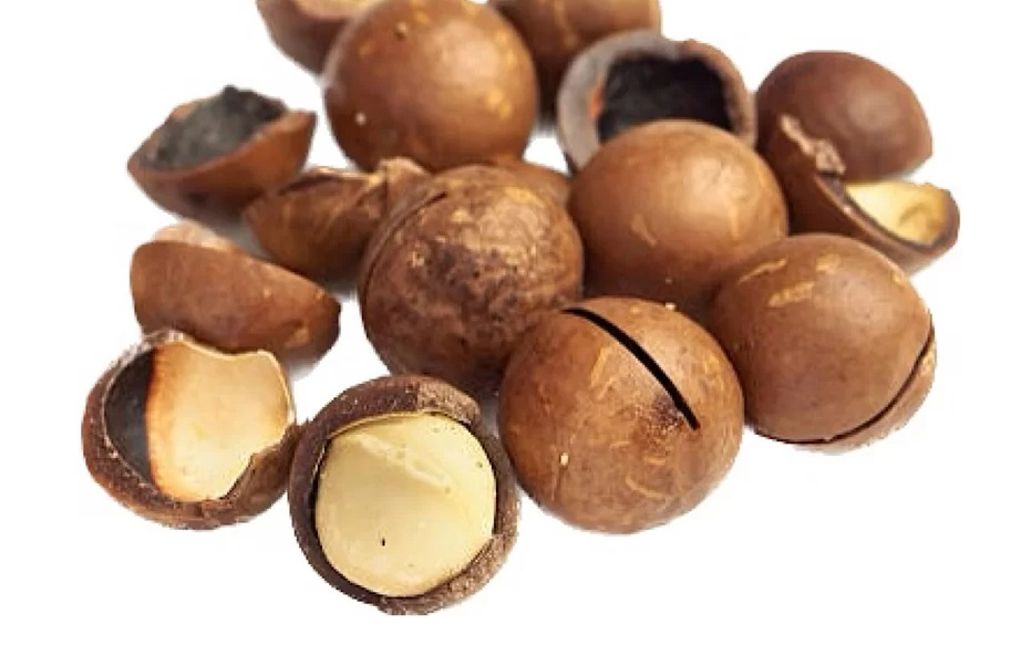 Macadâmia com Casca 300g - Banca do Ramon